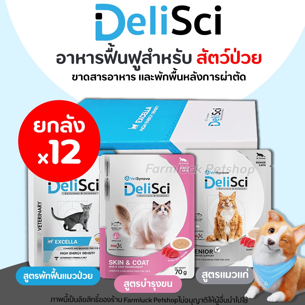 (ยกกล่อง 12ซอง) DeliSci Excella อาหารสำหรับแมว-สุนัขป่วย หลังผ่าตัดหรือ ...