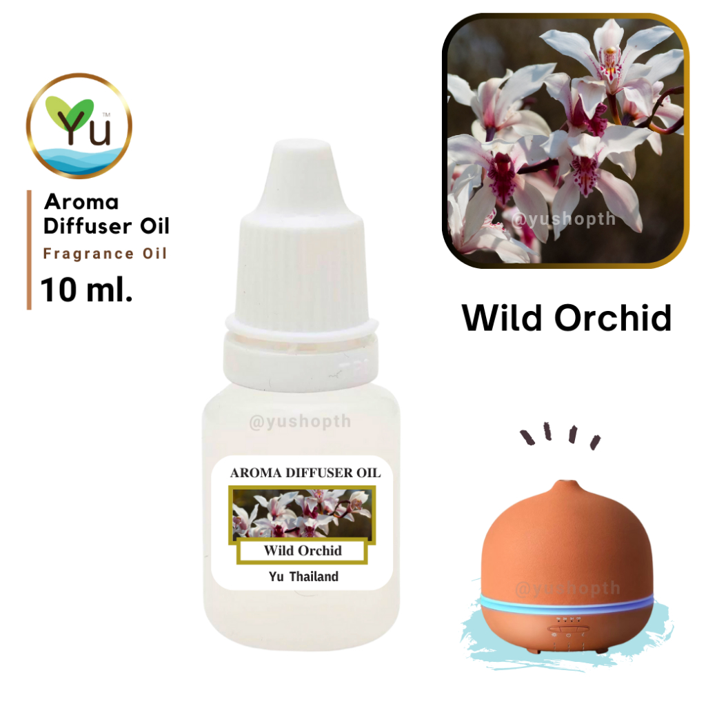 🌟 กลิ่น Wild Orchid กล้วยไม้ป่า 🌟 สูตรช่วยถนอม เครื่องพ่นอโรม่า เครื่อง ...