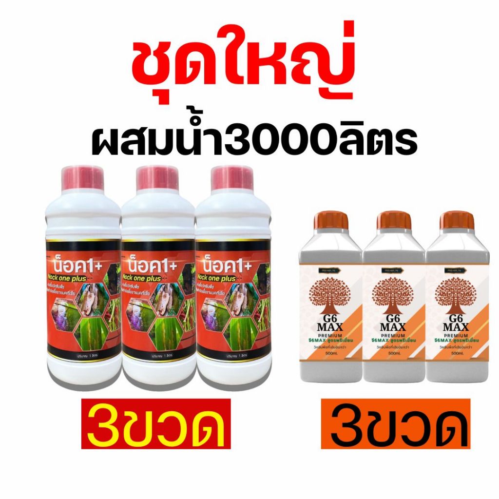 น็อควันพลัส+จี6แมกซ์ แก้ปัญหารากเน่า ใบเหลือง ใบไหม้ ใบจุดสาหร่าย ต้นเหี่ยว ชุด2สูตร น็อควัน ...