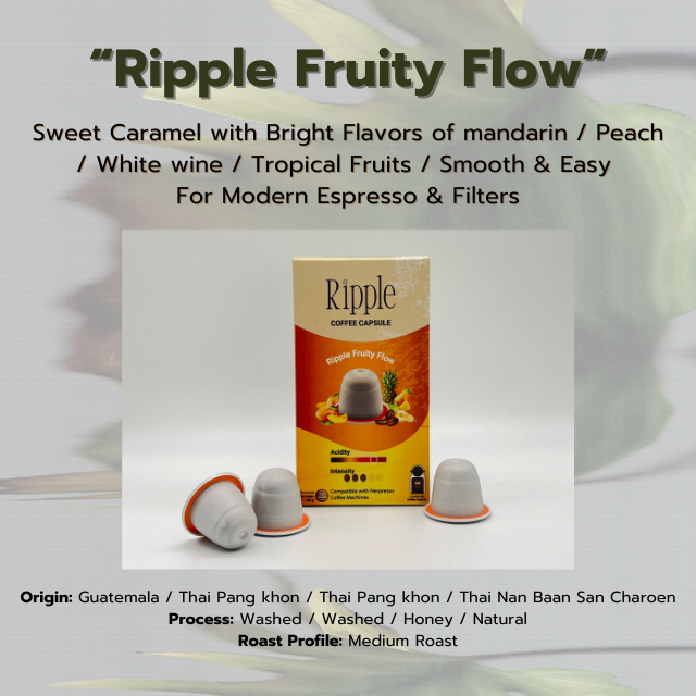 Ripple แคปซูลกาแฟ “Ripple Fruity Flow” (10 Capsules) | Shopee Thailand