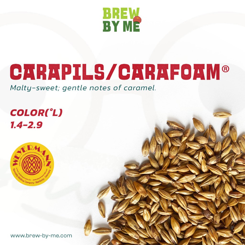 มอลต์ Carapils / Carafoam® Malt – Weyermann® Malt ทำเบียร์ | Shopee ...