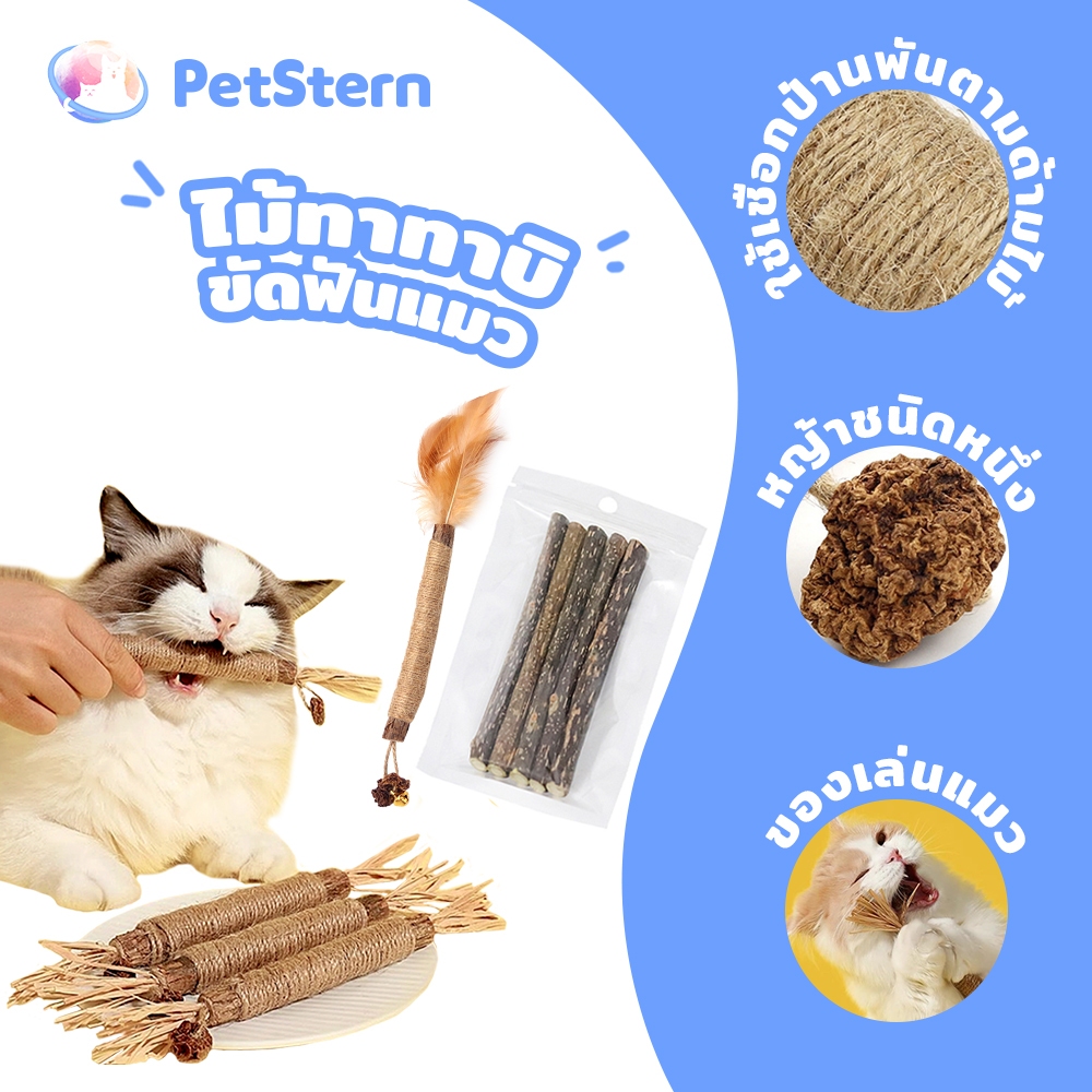 PetStern ไม้ทาทาบิ ขัดฟันแมว ของเล่นแมวทำให้ลมหายใจสดชื่น | Shopee Thailand