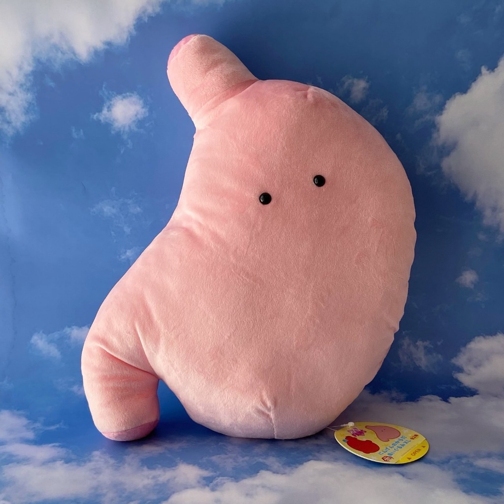 ตุ๊กตามือ 1 กระเพาะอาหาร FANS - Soft Human Body Plushy | Shopee Thailand