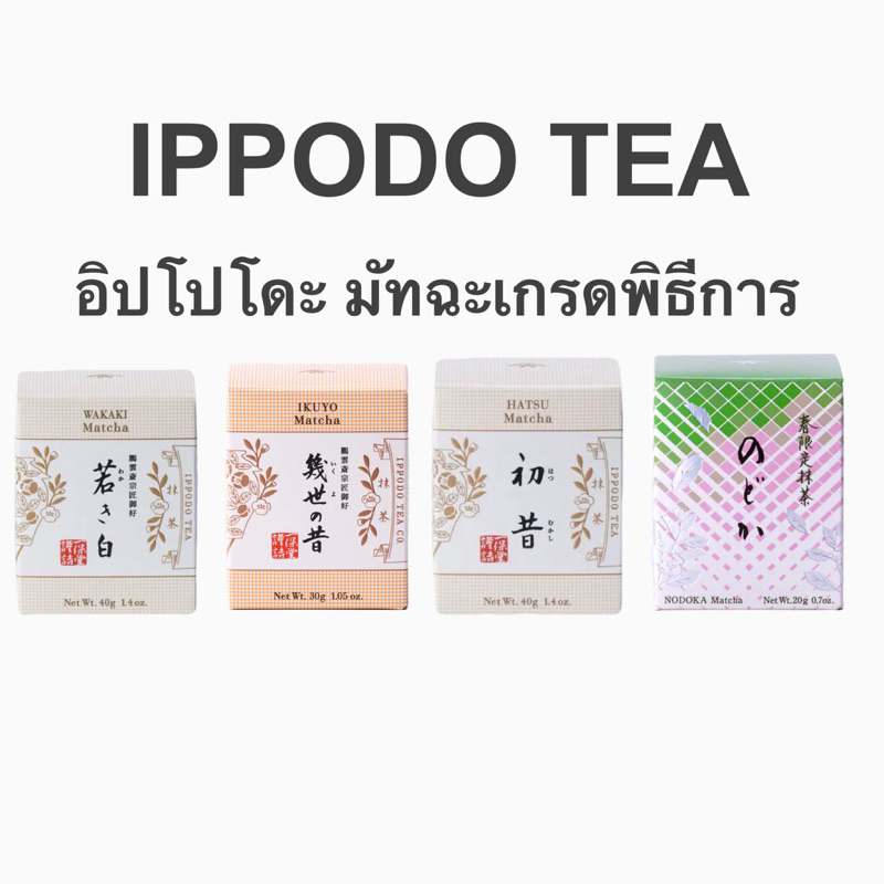 พร้อมส่งในไทย IPPODO TEAร้านดัง จากเมืองเกียวโต | Shopee Thailand