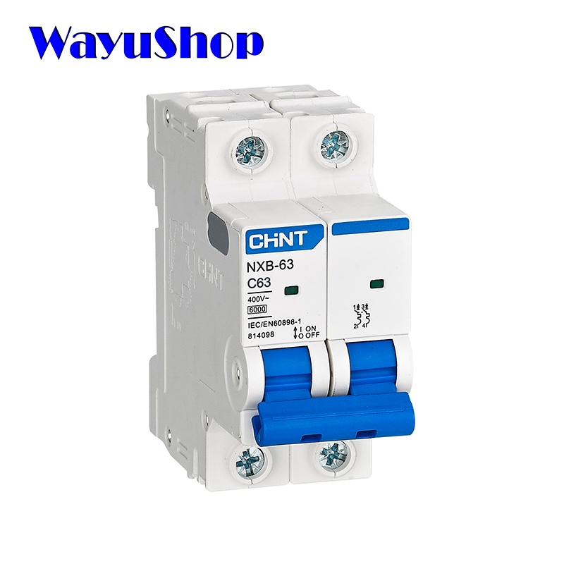 CHINT NXB-63 C63 2P 63A 6kA เบรกเกอร์ลูกย่อย MCB 2P 63A | Shopee Thailand