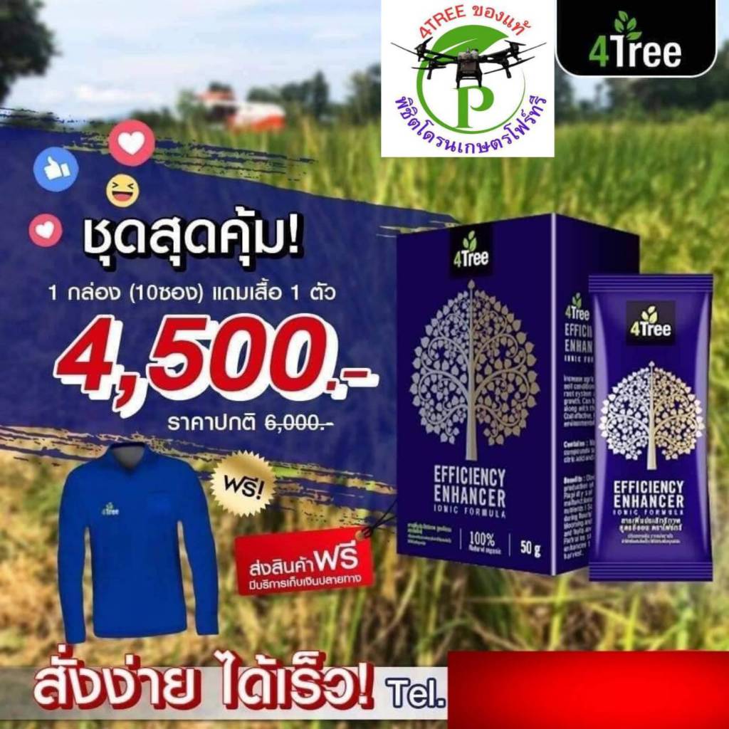 4Tree โฟร์ ทรี1กล่อง(10ซอง)ใช้ได้ 200 ไร่ สารเสริมประสิทธิภาพ พืชโตเร็วใช้ได้กับพืชทุกชนิด จาก ...