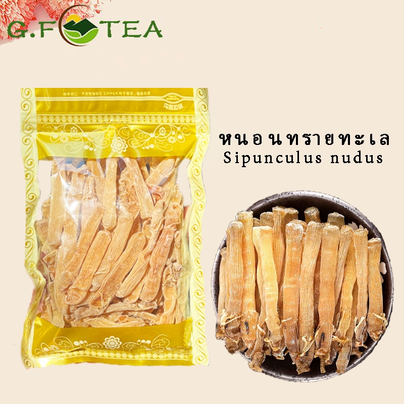 Sipunculus nudus หนอนทรายทะเล เนื้อสะอาด กลิ่นหอม ไม่มีทราย 50g-100g ...