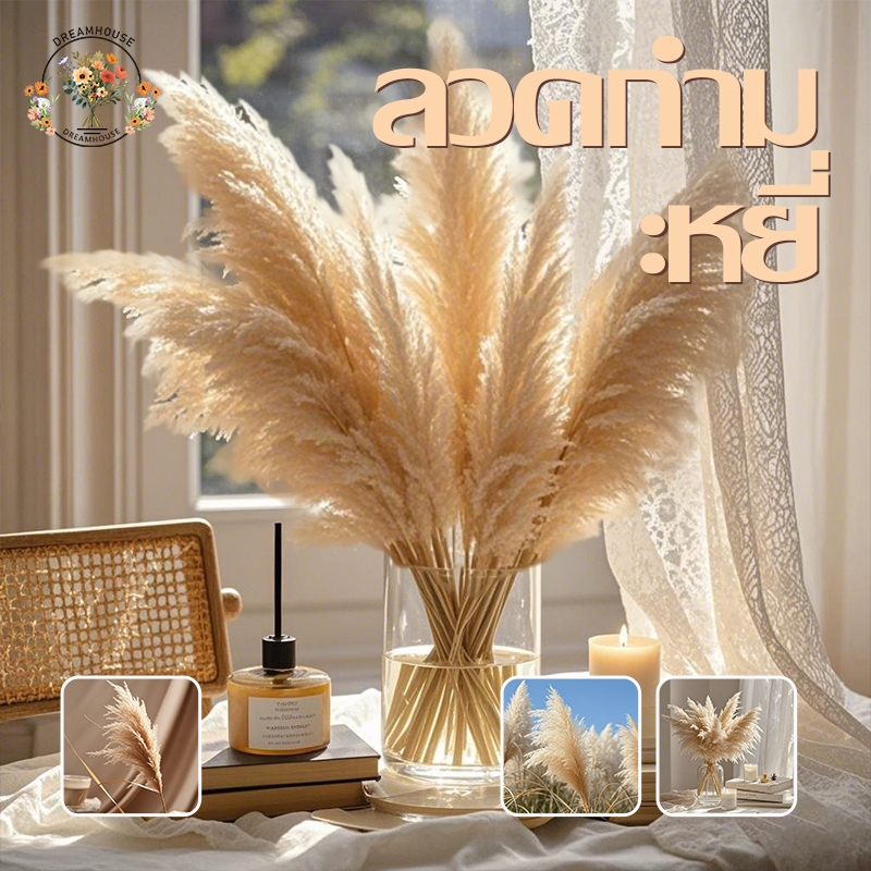 จําลองช่อดอกไม้ Reed Fur Panpas หญ้าห้องนั่งเล่นพืชสีเขียวตกแต่งบ้านการ ...