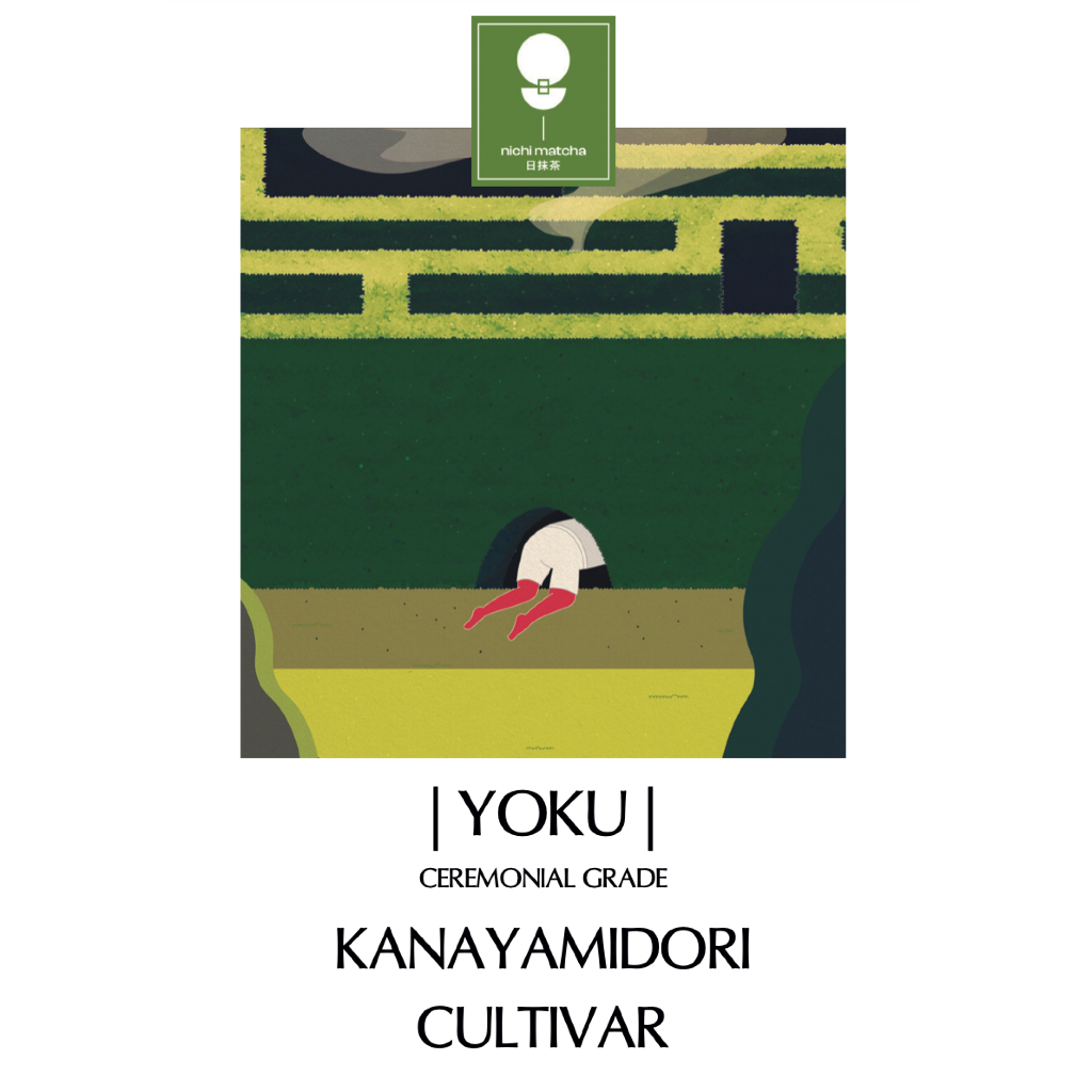 NICHI MATCHA | ผงมัทฉะสายพันธุ์เดียว Yoku | Kanayamidori Single ...