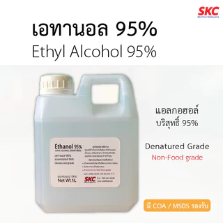 ช้อป แอลกอฮอล์ 95 ง่าย ๆ บน Shopee | ก.พ. 2026