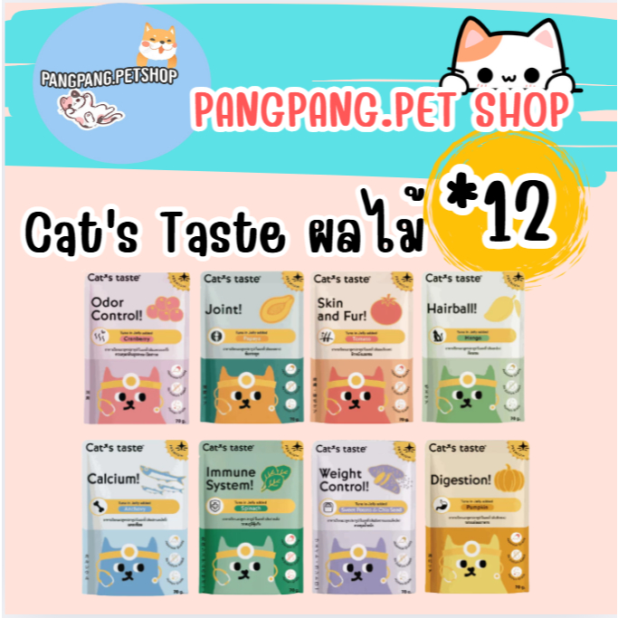 (ยกโหล) [12 ซอง] Cat's Taste Healthy อาหารเปียกแมว แคทเทสต์ 70g ไม่ใส่โซเดียม | Shopee Thailand