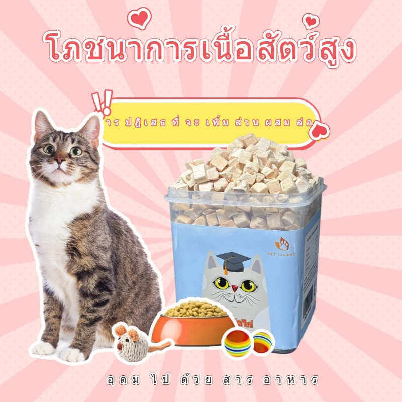 ฟรีซดรายไก่ล้วน เม็ดเล็ก เคี้ยวง่าย สำหรับสัตว์เลี้ยง มี 3 ขนาด 300g / 500g / 700g ส่งไว อาหาร ...