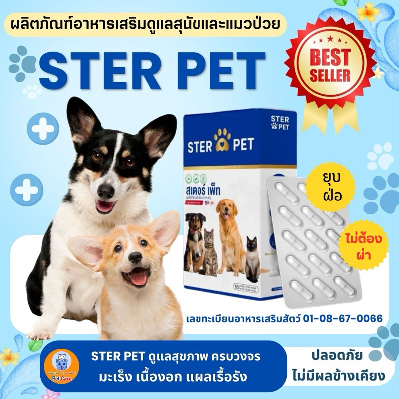 STER PET - สเตอร์เพ็ท ดูแลสุขภาพน้องหมา แมว ครบวงจร 1 กล่อง บรรจุ 15 ...