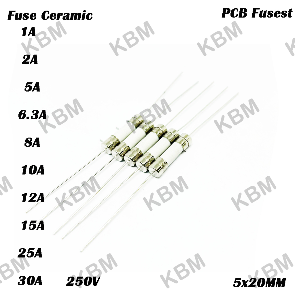 Fuse Ceramic PCB Fuses ฟิวส์ เซรามิก ฟิวส์หางหนู 1A 2A 5A 6.3A 8A 10A ...