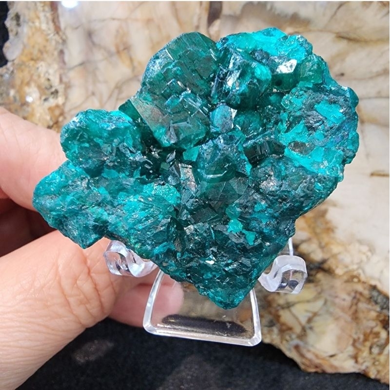 หินไดออปเทส(Dioptase)ผลึกหินไดออบเทส ยาว 4.7 ซม.หน้ากว้าง 4.2 ซม.หนา 1.8 ซม.น้ำหนัก 38 g ...
