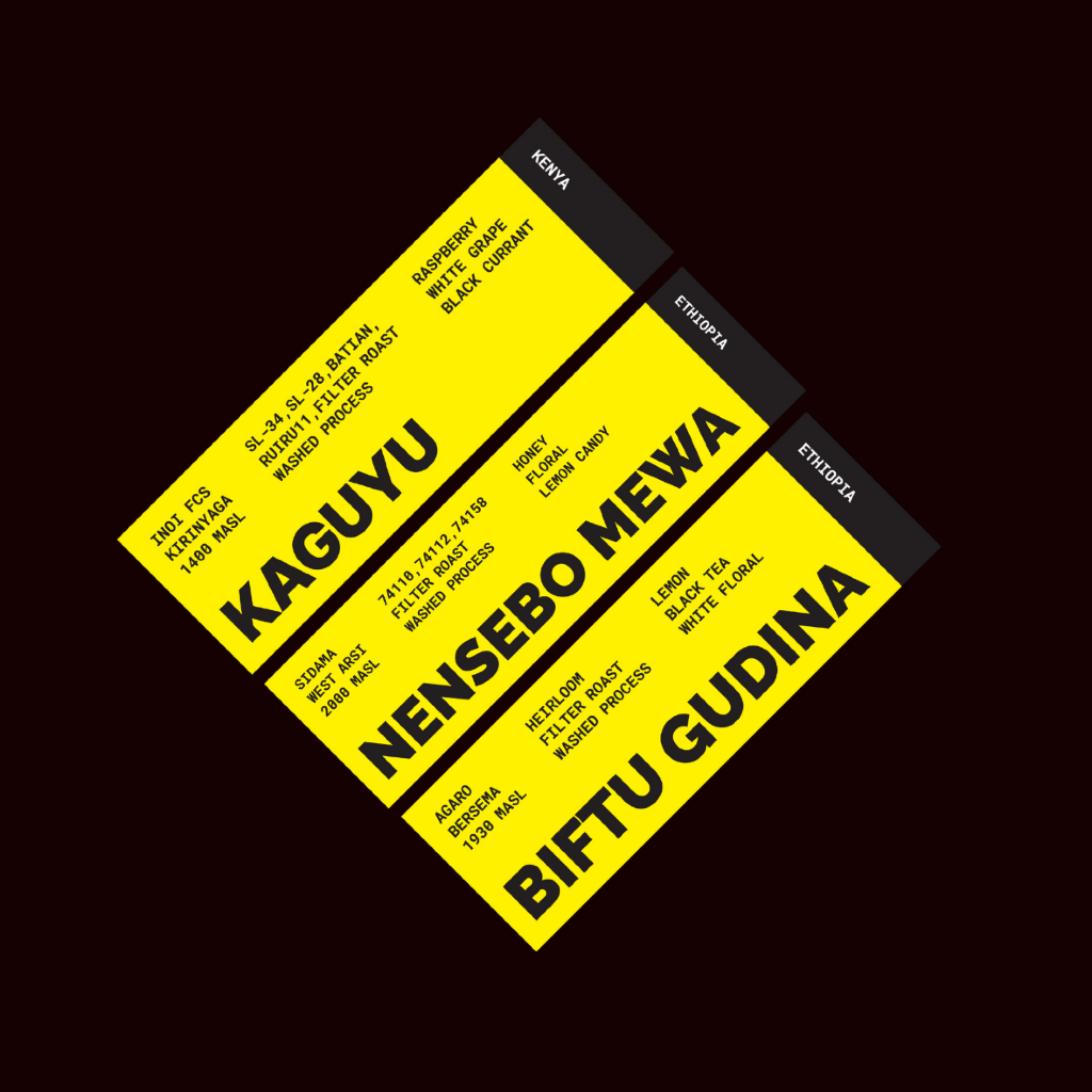 3 Origins Specialty Coffee Testing Set (100g x 3) – Kaguyu, Mewa, Biftu ...