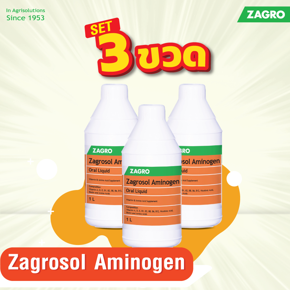[ set 3 ขวด ] Zagrosol Aminogen ขนาด 1 ลิตร วิตามินน้ำ ช่วยไก่โตเร็ว ...
