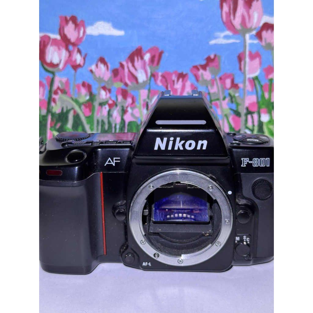 กล้องฟิล์ม Nikon f801 data back body หายาก | Shopee Thailand