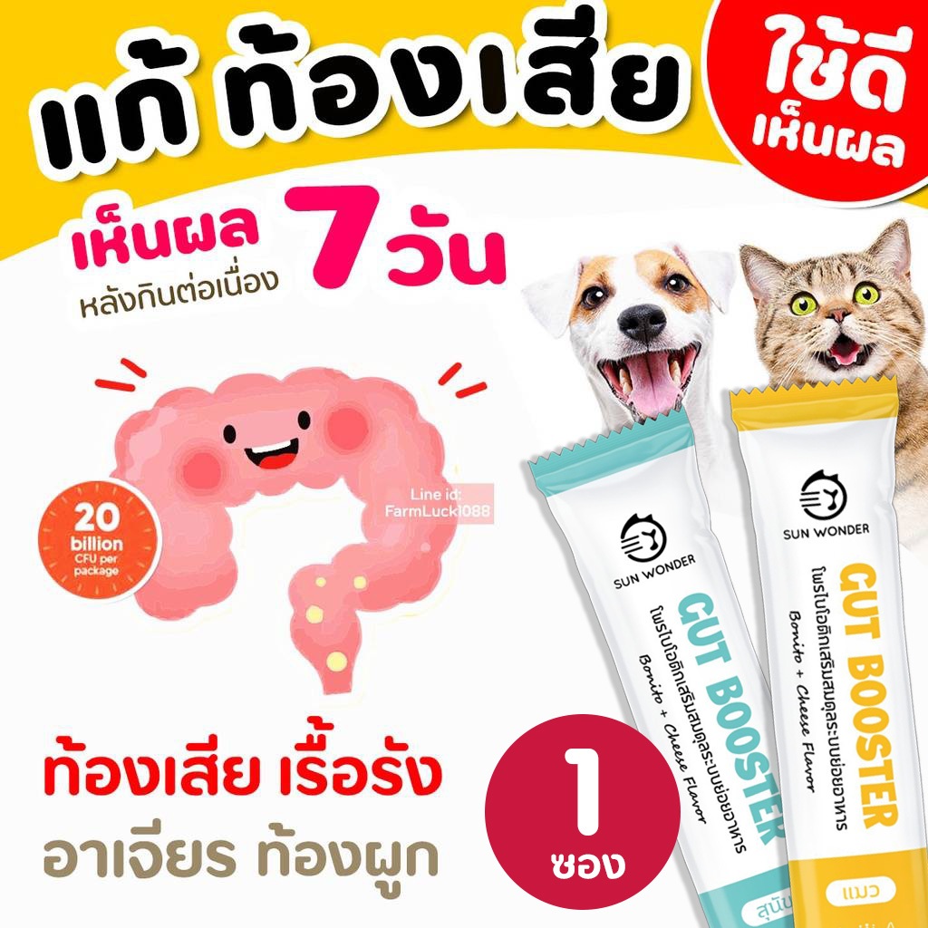 (1ซอง) Gut Booster โพรไบโอติก (เห็นผลใน7วัน) สุนัขและแมว ท้องเสีย ...