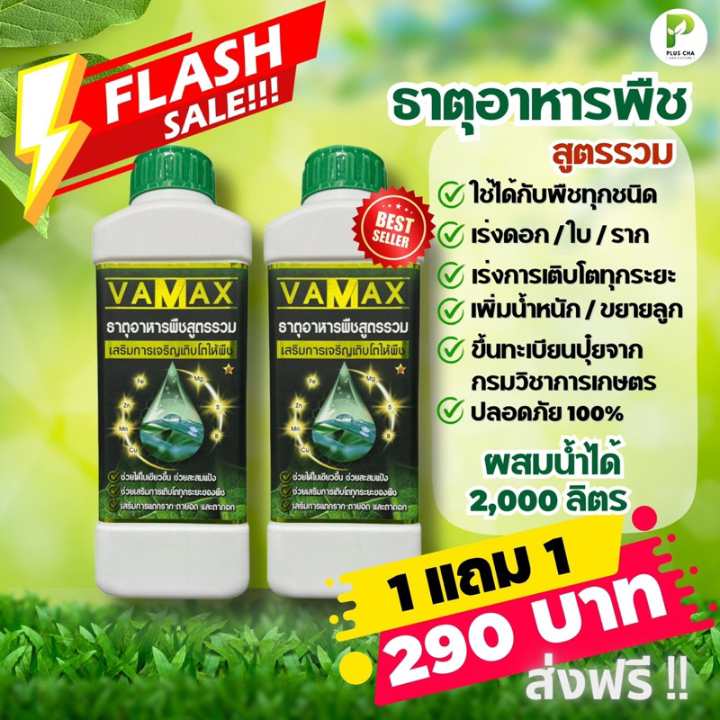 VAMAX ปุ๋ยธาตุอาหารรองเสริมพืช สูตรรวม เร่งการเติบโตของพืชทุกชนิด (1 ...