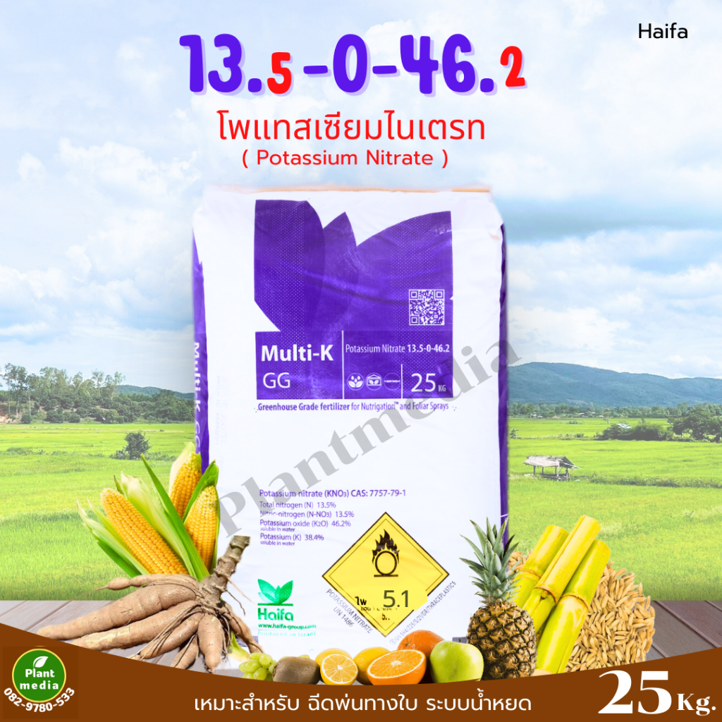 ปุ๋ย 13.5-0-46.2 โพแทสเซียมไนเตรต KNO3 Haifa-GG Potassium Nitrate จี ...
