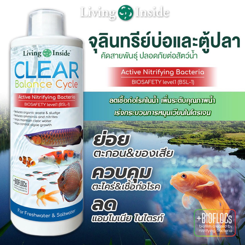 Beneficial Bacteria for Pond and Fish Tank Living inside | Shopee Thailand