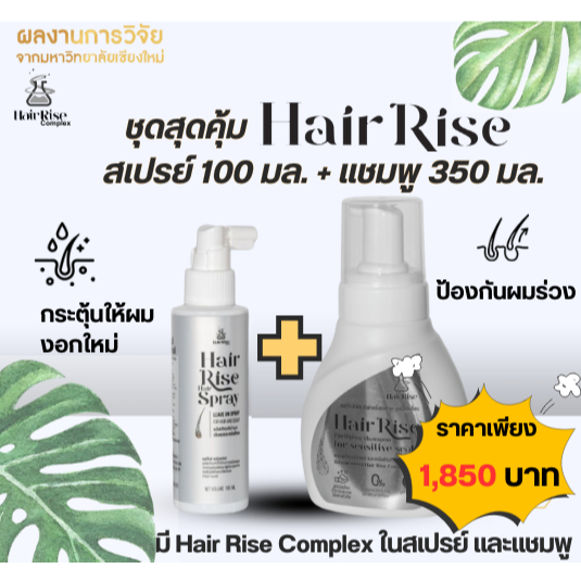 ชุดสุดคุ้ม Hair Rise Spray 100 ml 1 ขวด และแชมพู Hair Rise Purifying ...