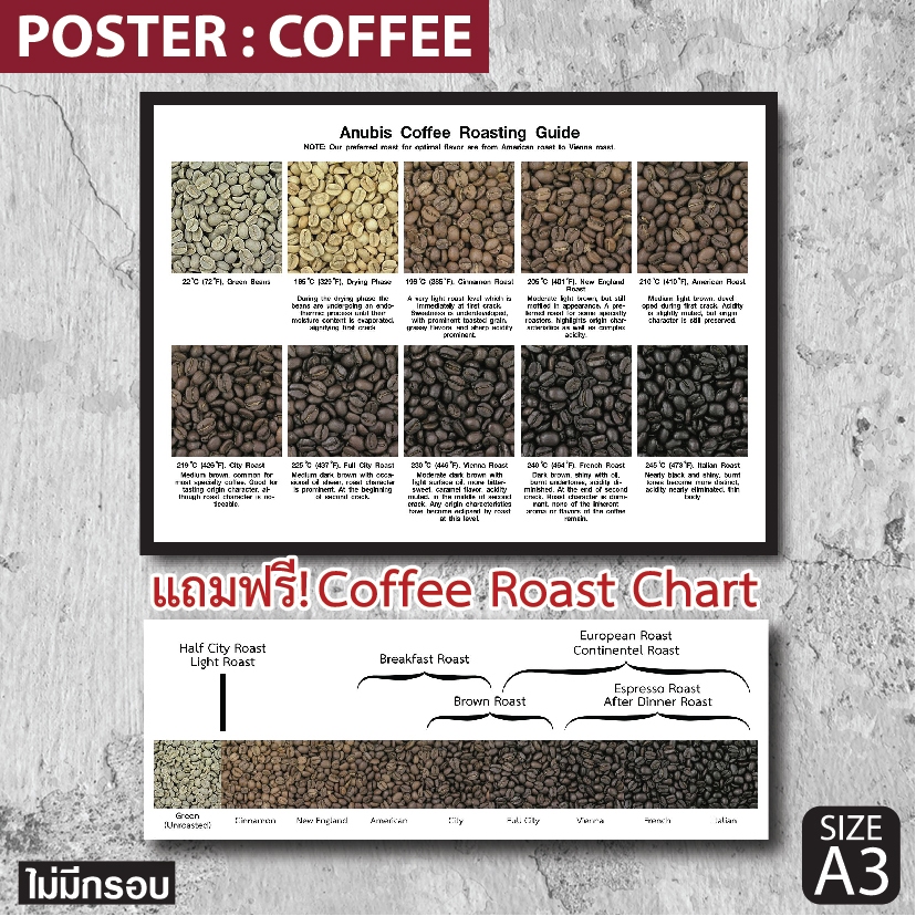 โปสเตอร์ เมล็ดกาแฟ Coffee Bean การคั่วกาแฟ Poster Coffee Roast Guide ...
