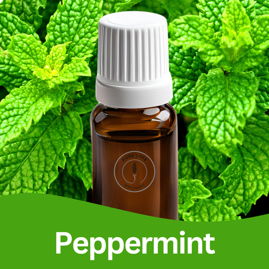 Premium Peppermint Essential Oil 15 mL น้ำมันหอมระเหยเปปเปอร์มินต์เกรด ...