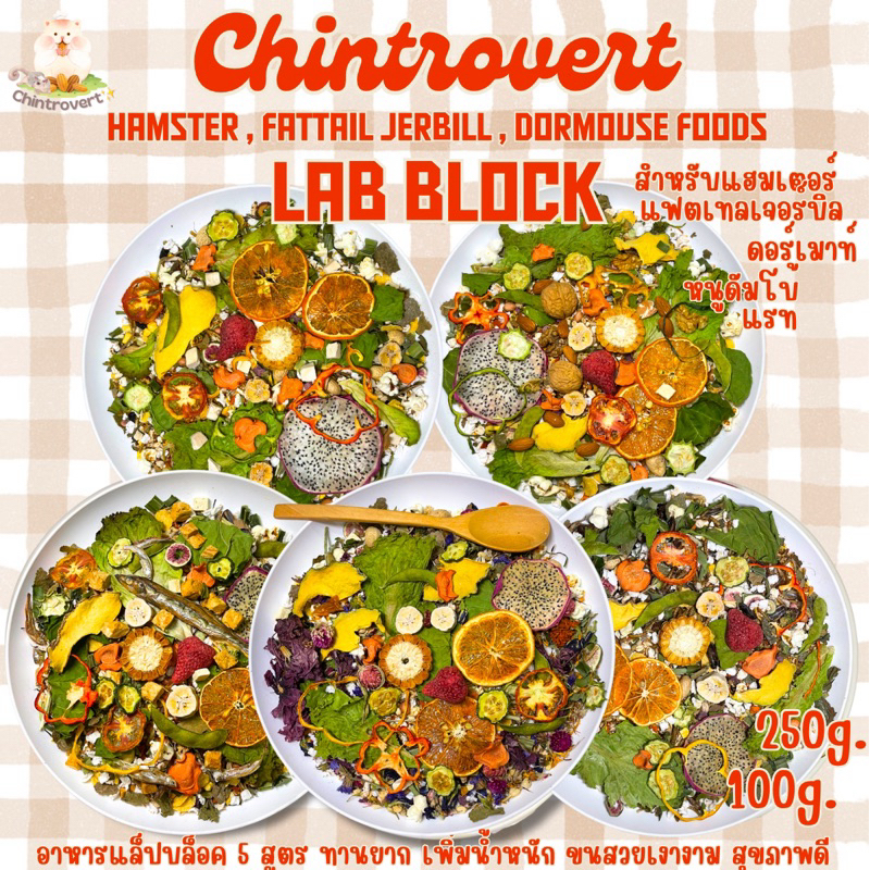 Chintrovert | Lab Block แล็ปบล็อคอาหารแฮมเตอร์ทุกสายพันธุ์ ดอร์เมาท์ ...
