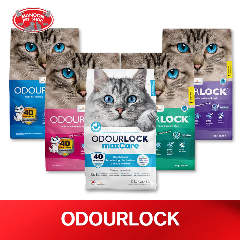 ODOUR LOCK Ultra Premium โอเดอร์ ล็อค ทรายหินภูเขาไฟ อัลตร้า พรีเมี่ยม ...