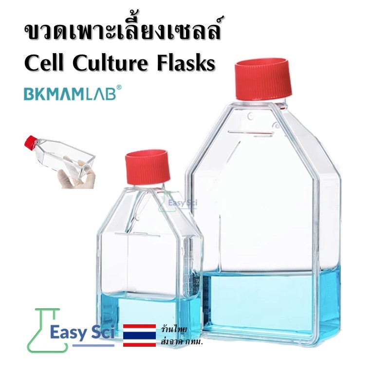 ขวดเพาะเลี้ยงเซลล์ ห้องทดลอง Cell Culture Flasks | Shopee Thailand