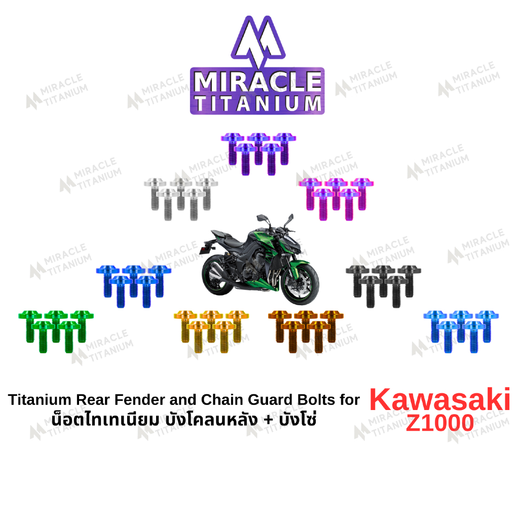 Kawasaki Z1000 Titanium Rear Fender and Chain Guard Bolts บังโคลนหลัง ...