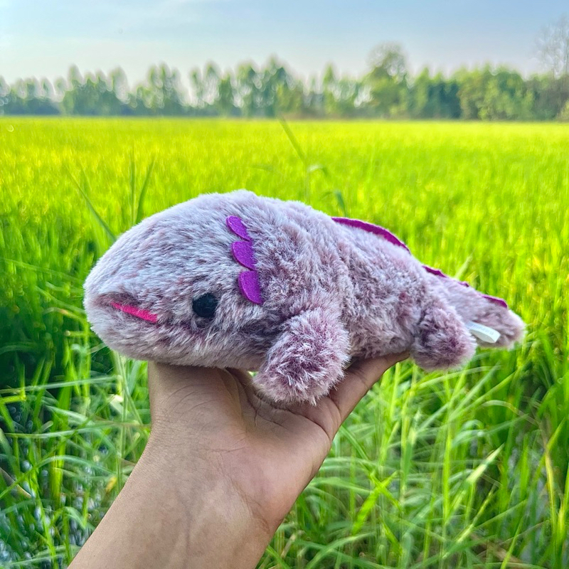 ตุ๊กตาซาลาแมนเดอร์ ซาลาแมนเดอร์ยักษ์ Giant Salamander Plush Toy Cute ...