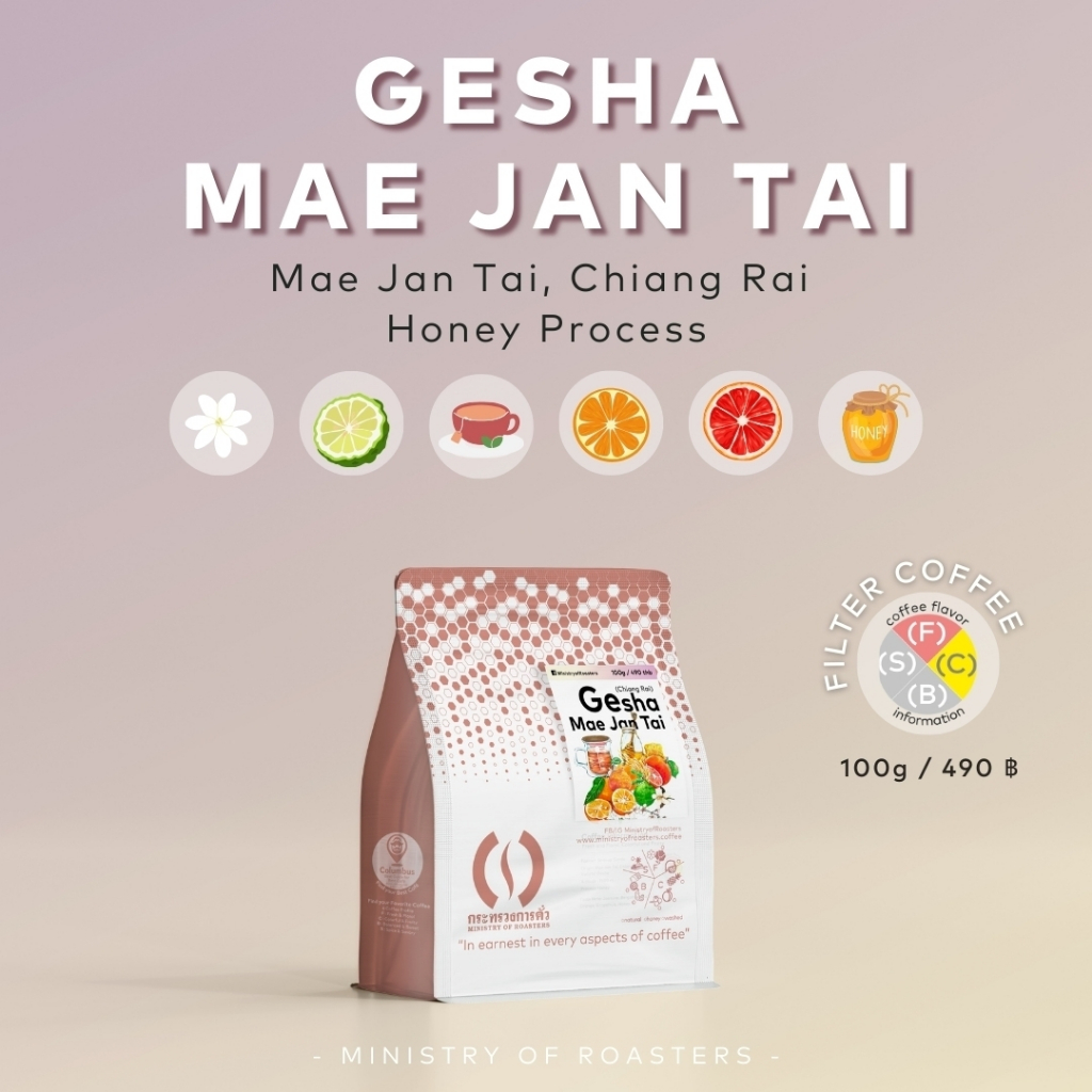 เมล็ดกาแฟ แม่จันใต้ เชียงราย Gesha Honey Sintop Mae Jan Tai , Chiang ...