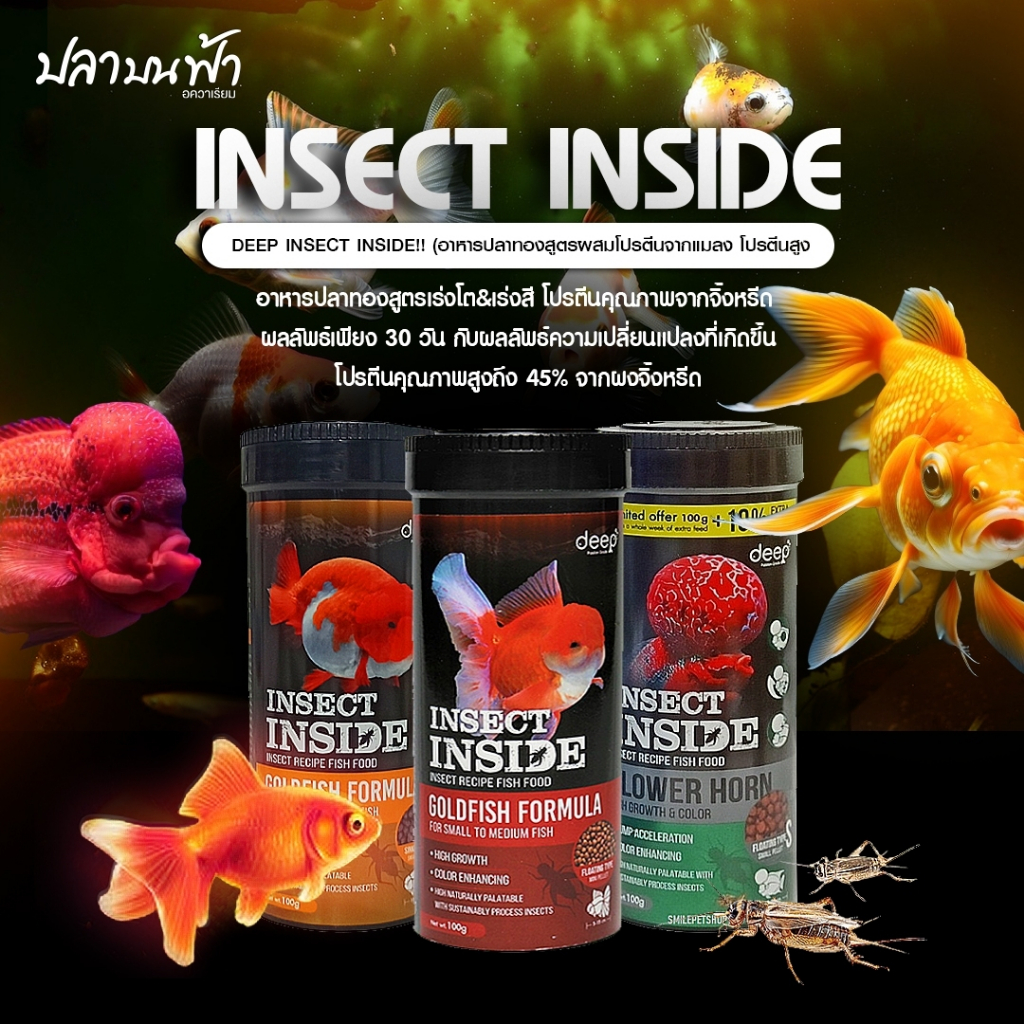 (พร้อมส่งทุกวัน) DEEP INSECT INSIDE อาหารปลาทอง ปลาหมอสี กระปุกขนาด 100 ...