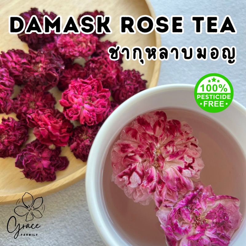 ชากุหลาบมอญ แบบดอกบาน Damask Rose Tea ชาดอกไม้บาน | Shopee Thailand