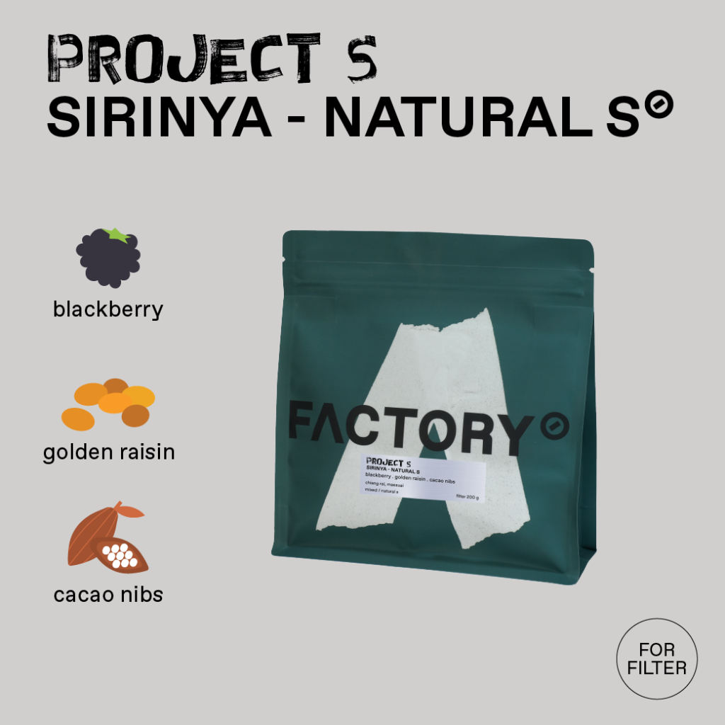 Factory Coffee เมล็ดกาแฟ Thailand, PROJECT S (Sirinya) l Natural S ...