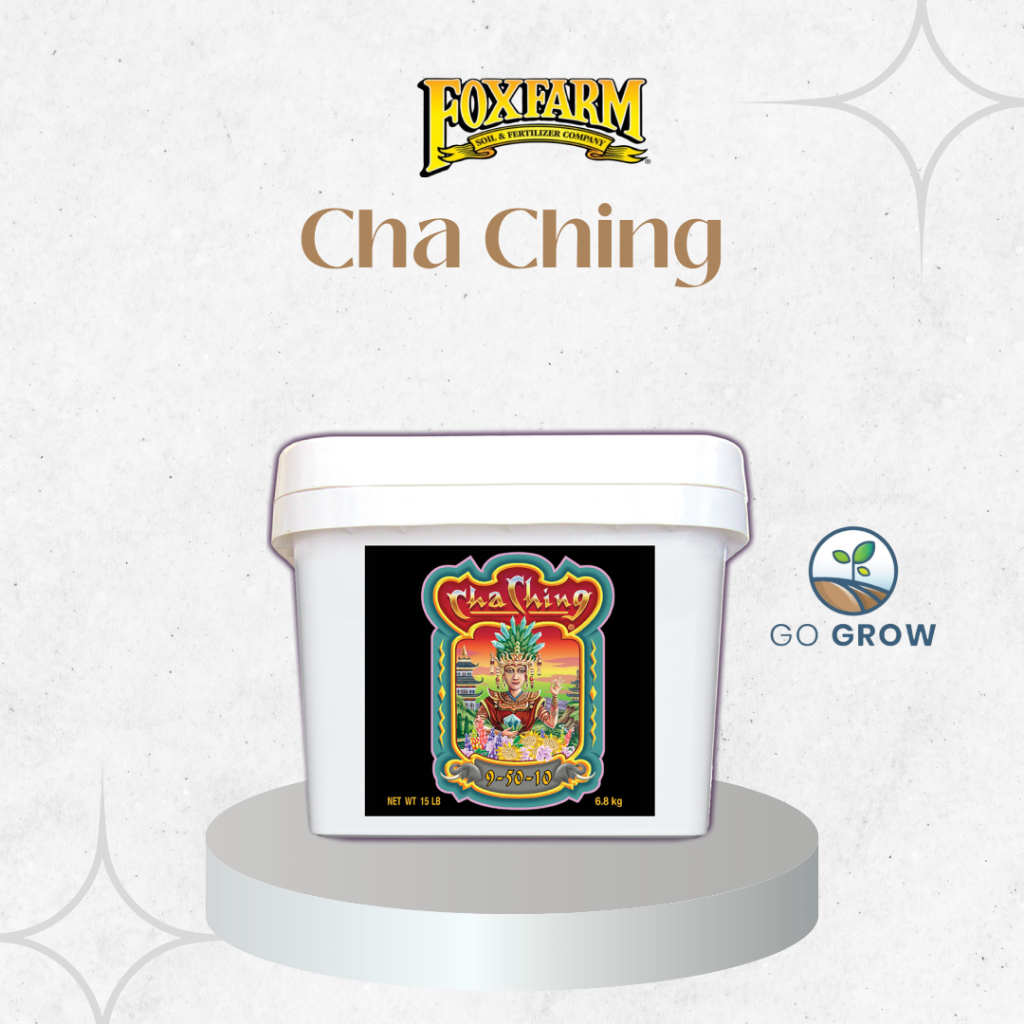 [ขวดแท้] FoxFarm Cha Ching 15Lb ปุ๋ยทำดอก ปุ๋ยเร่งผล ปุ๋ยเสริมเร่งโตใน ...