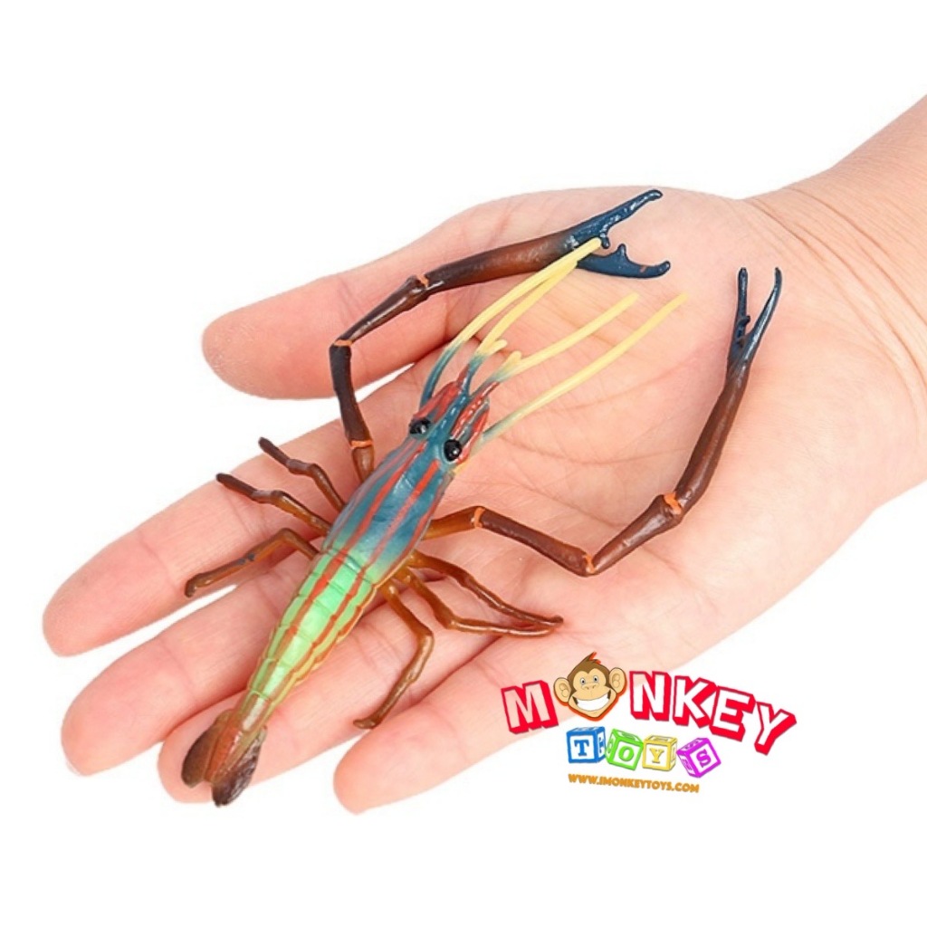 Monkey Toys - โมเดลสัตว์ River prawn กุ้ง แม่น้ำ สีรุ้ง ขนาด 13.20 CM ...