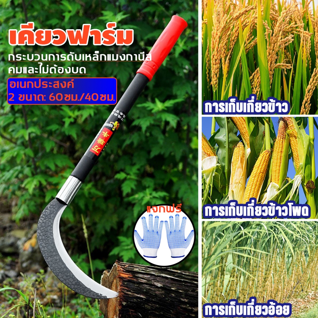 [AgriGrow] มีดถางหญ้า เคียว เคียวตัดกิ่งไม้ มีดทำสวน มีดตัดแต่งกิ่งไม้ ...
