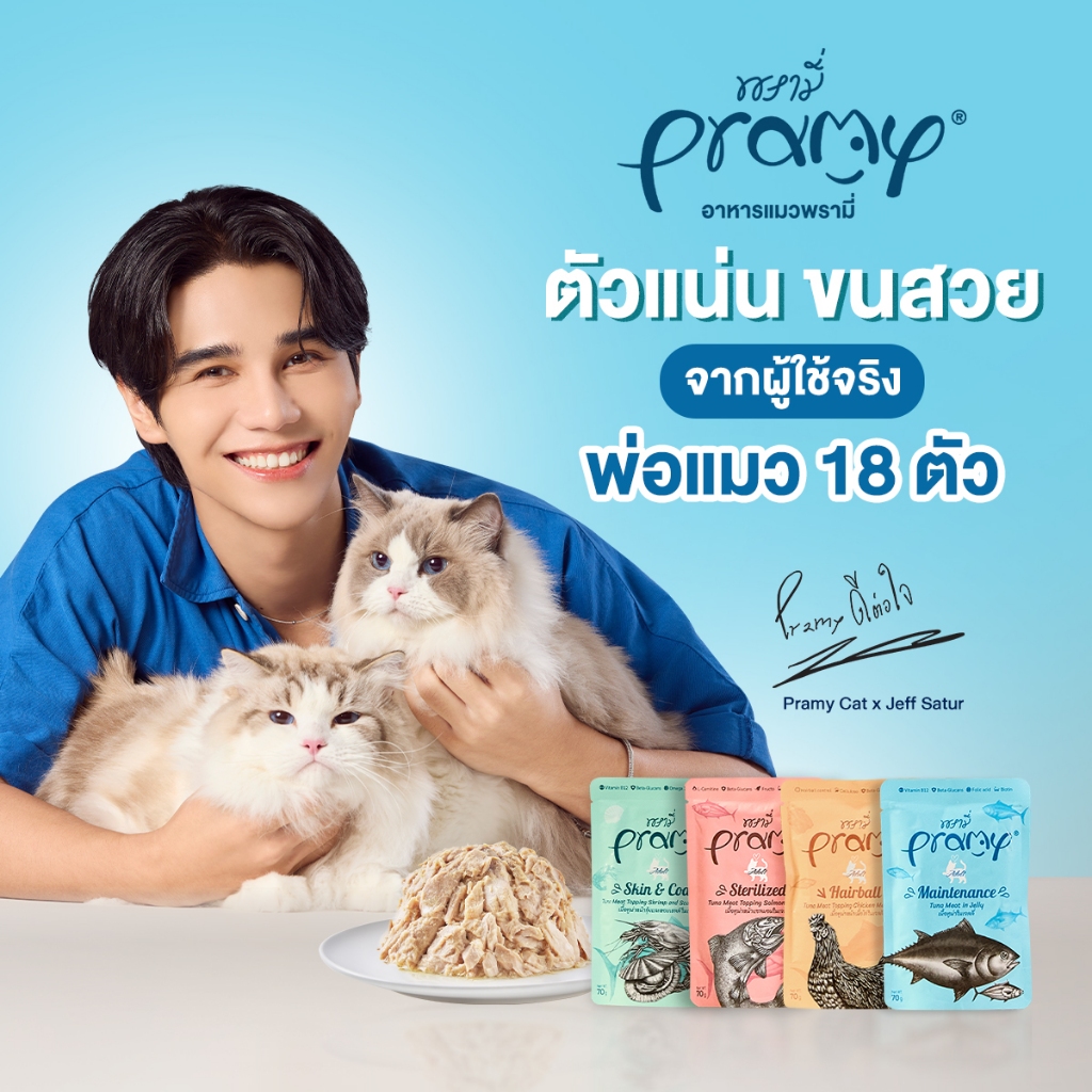 🔥 ( 48ซอง ) Pramy พรามี่ อาหารเปียกแมว บำรุงสุขภาพ ขนาด 70 กรัม ( 48ซอง ) 🔥 | Shopee Thailand