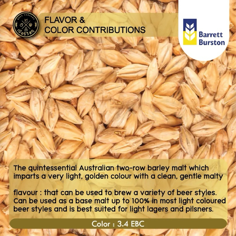 มอลต์ Australian Extra Pale Malt (500 g) – EBC 3.4 | Shopee Thailand