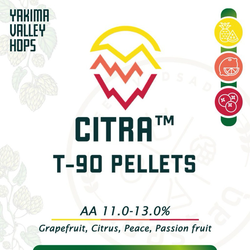 US Citra Hops (2oz) | Shopee Thailand