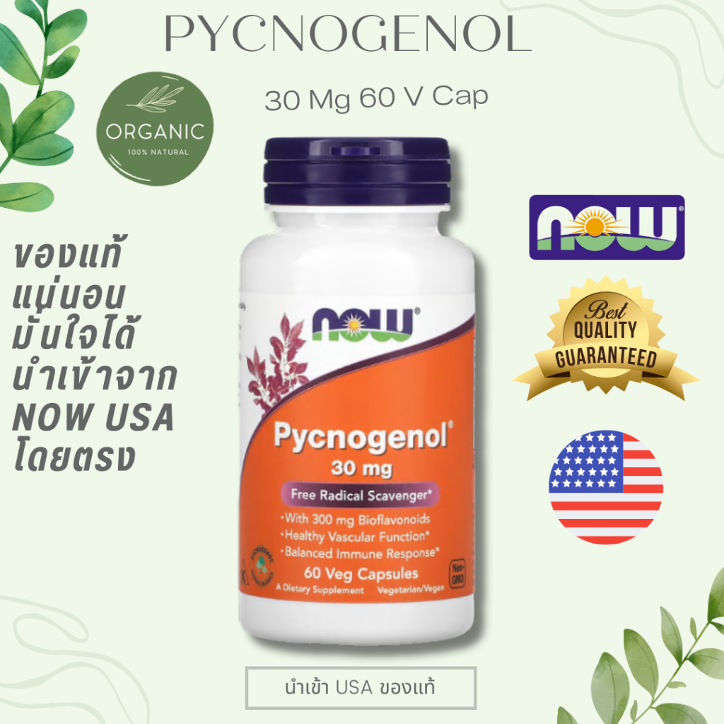 [พร้อมจัดส่ง] NOW FOODS Pycnogenol 30 mg ดูแลสุขภาพผิวพรรณจากภายใน ...