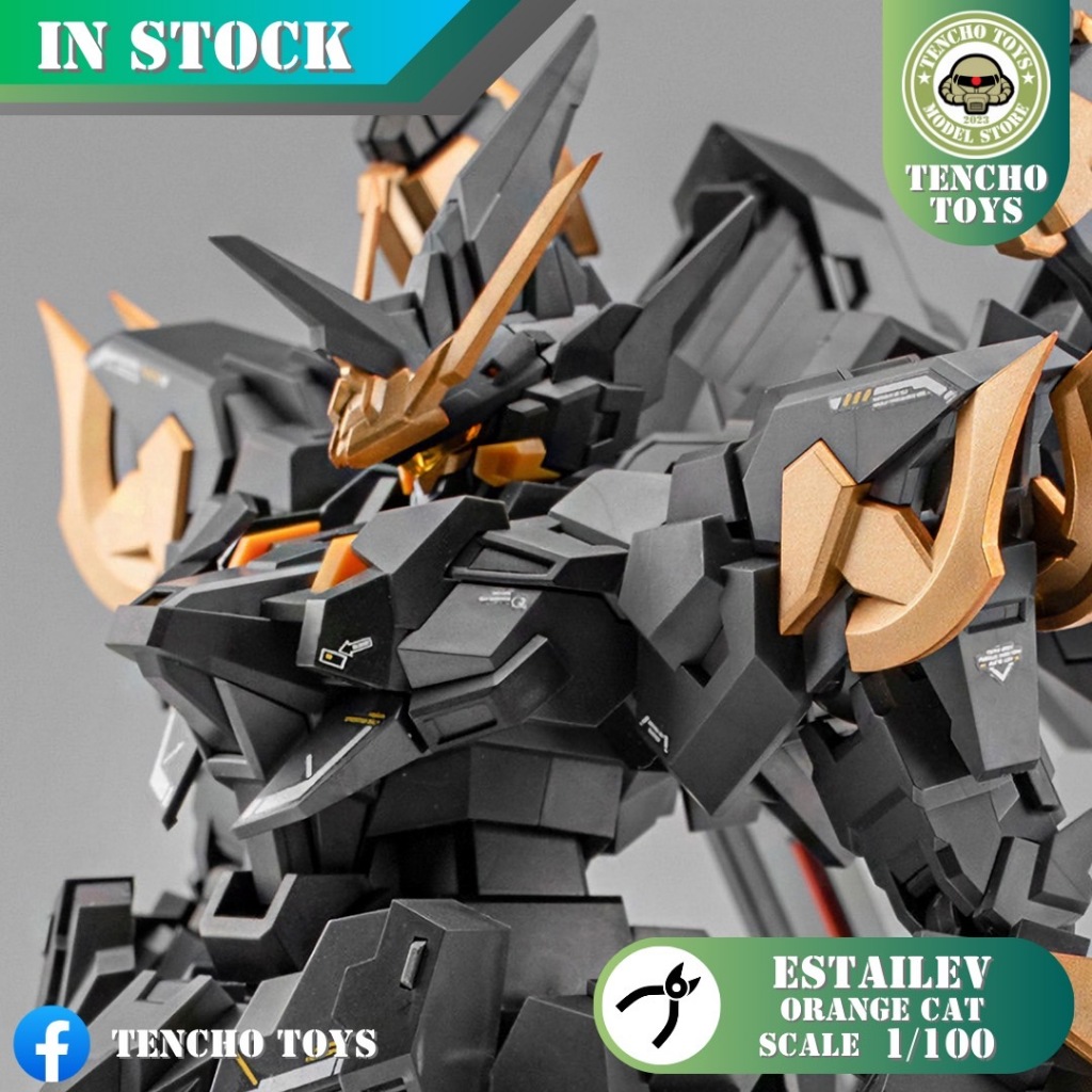 🔰 ESTAILEV NEAMHAIN 🔰 1/100 Exceed Type Ext-GS/EA3 ค่าย ORANGE CAT ...