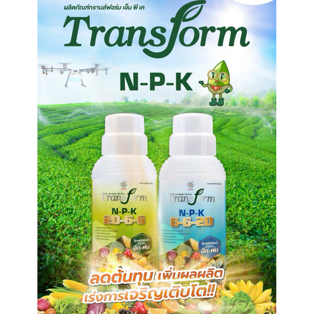 Transform NPK สูตร 20-6-6 และ 6-6-20 ธาตุอาหารหลักสำหรับพืช | Shopee Thailand