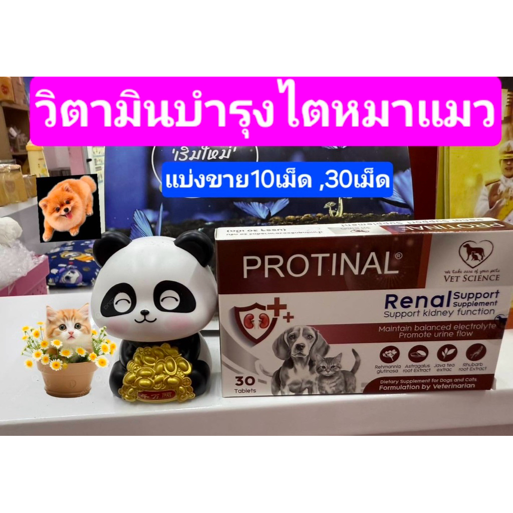 ถูกที่สุด🔥!! protinalวิตามินบำรุงไต สำหรับสุนัขและแมว โปรตินัล แทบเล็ท ...