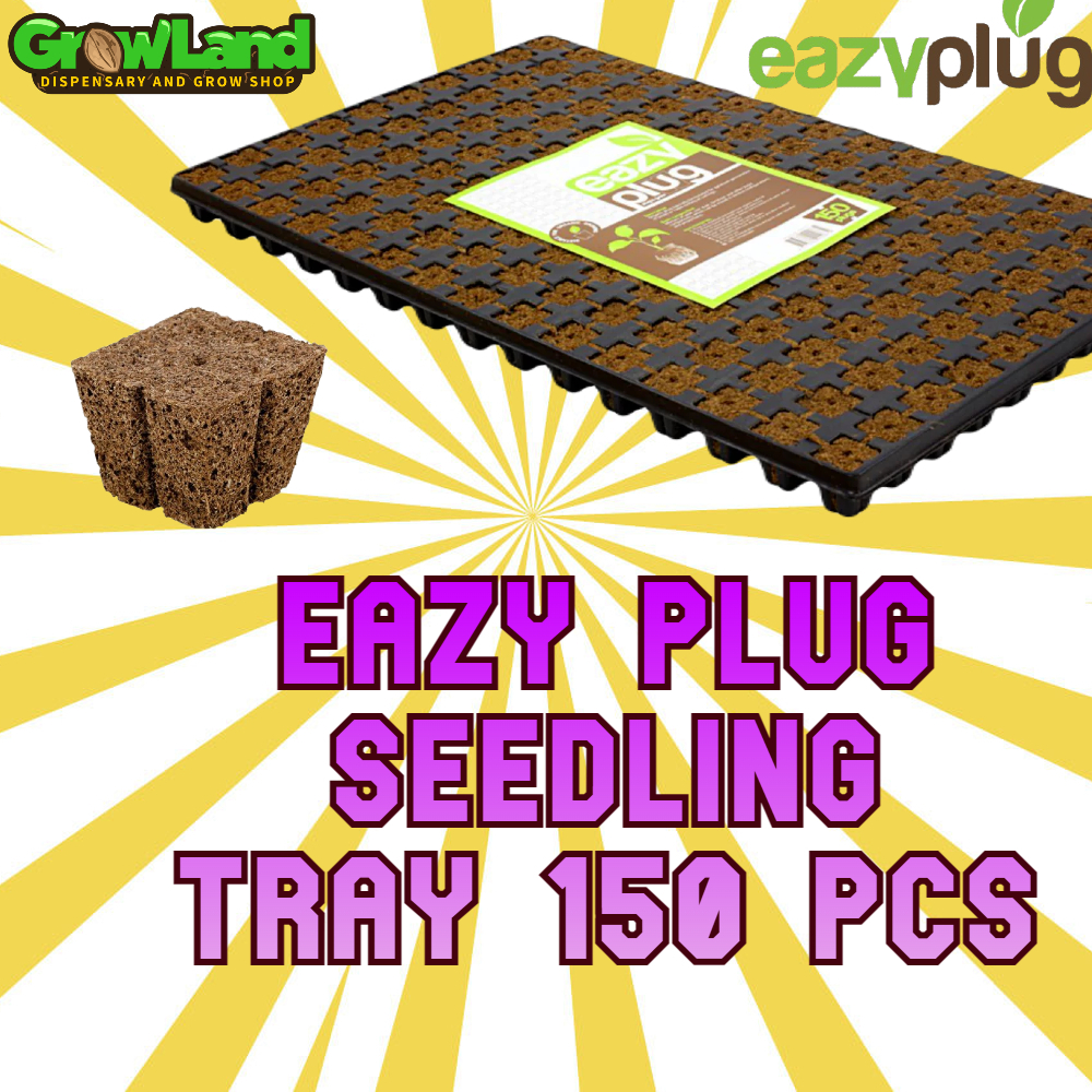 EAZY Plug Tray 150 Plugs | Shopee Thailand