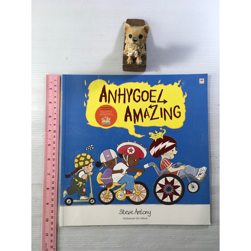 Anhygoel Amazing By Steve Antony หนังสือภาษาอังกฤษมือสองปกอ่อน | Shopee ...